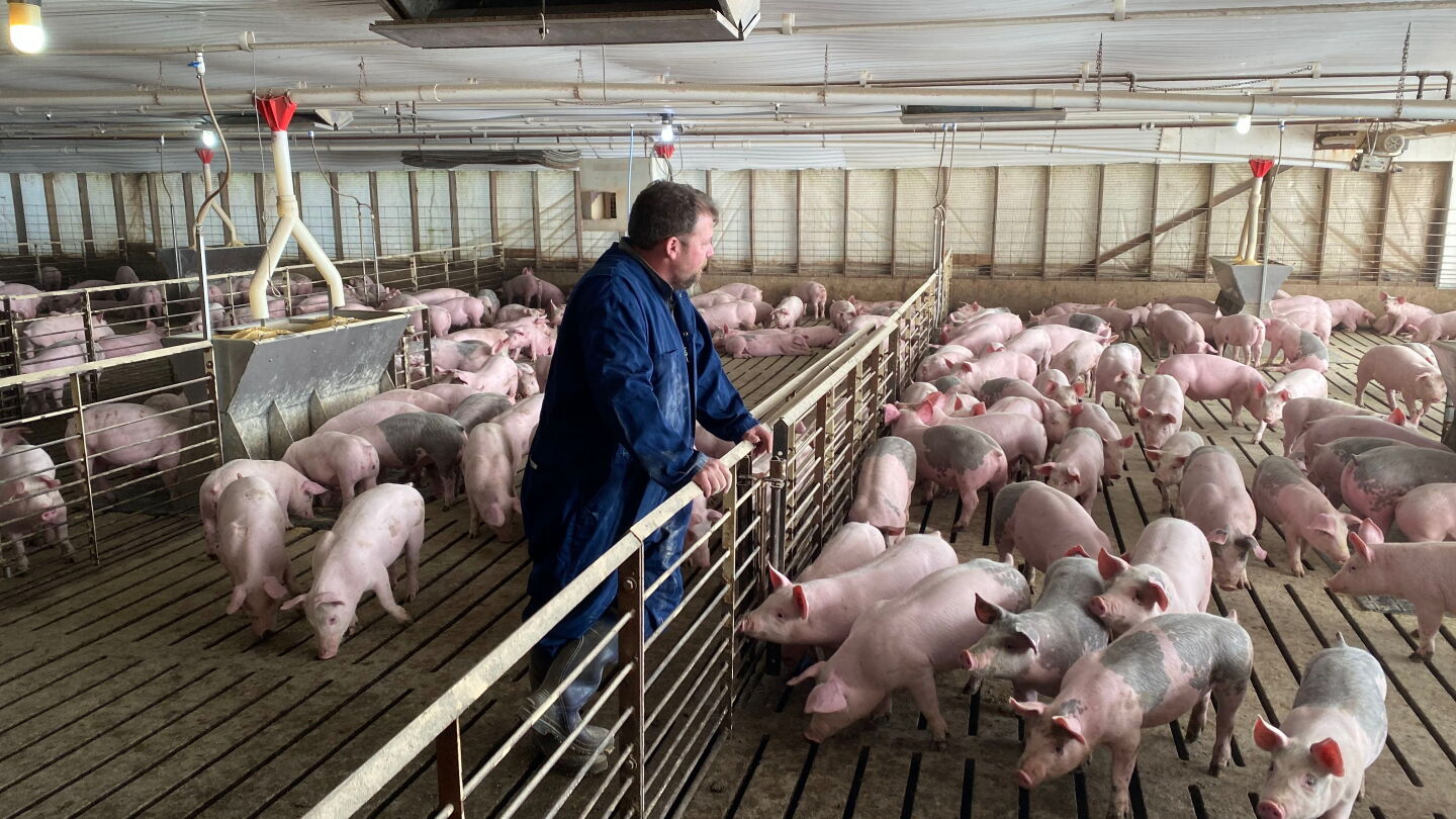 Will Pork Demand in 2023 Overcome Inflation's Impact on Consumption ...
