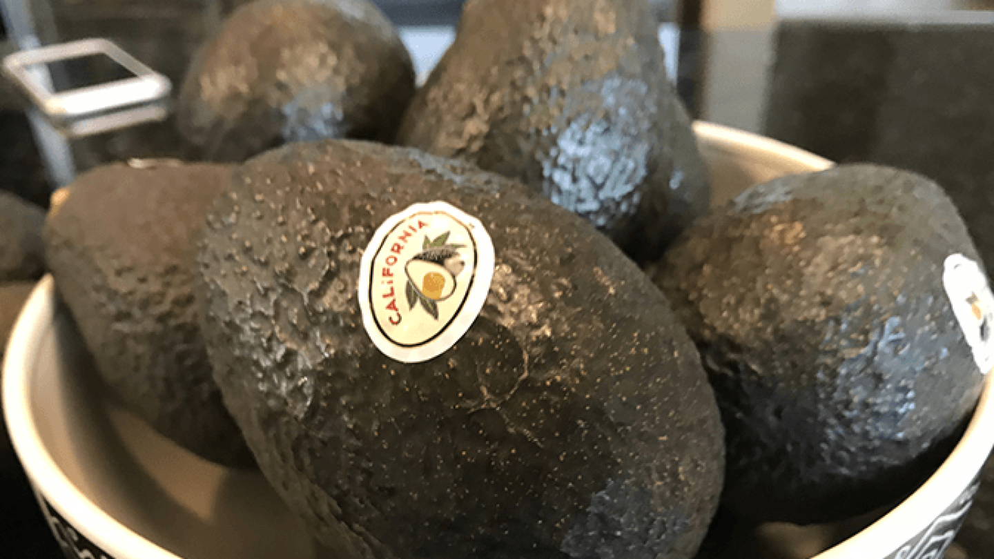 California avocado season closes early, but volume up - The Packer