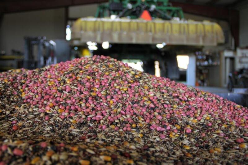 Cover Crop Bandwagon Frustrates Farmers - AgWeb