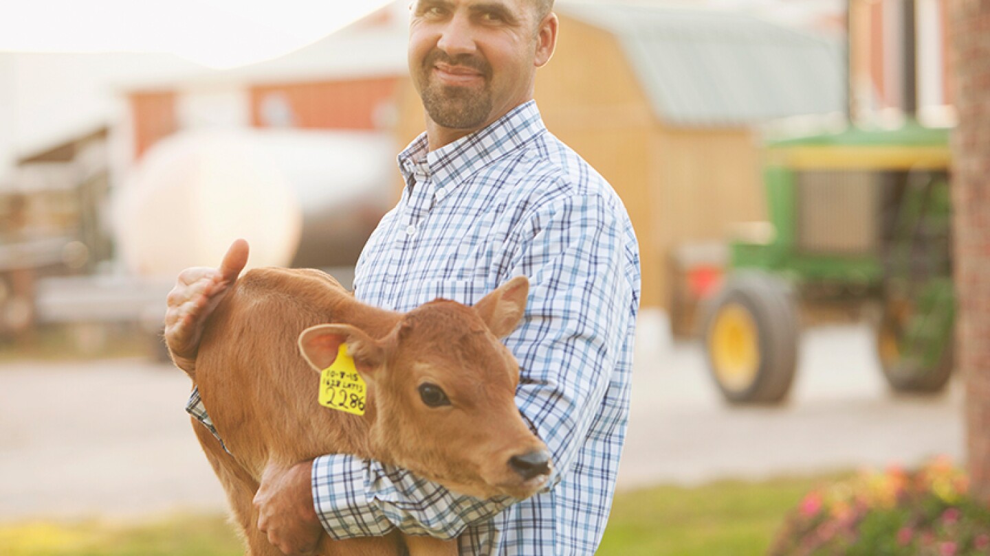 We Are the Champions - Dairy Herd