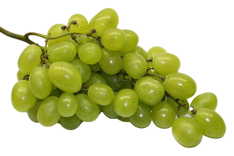 California dominates the U.S. fall grape supply - The Packer - Fruit ...