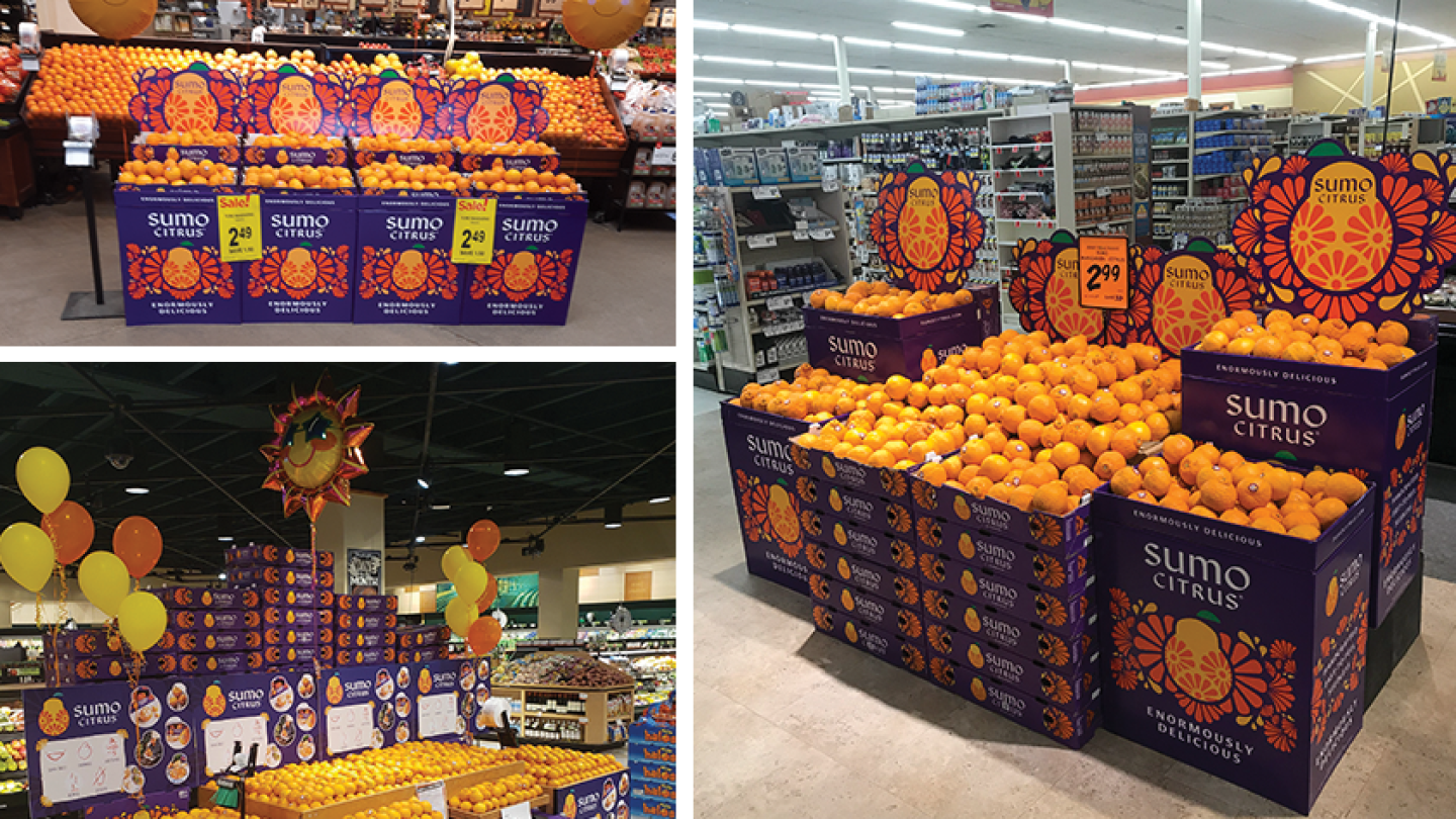 Sumo Citrus season officially here - The Packer - Fruit and Vegetable ...