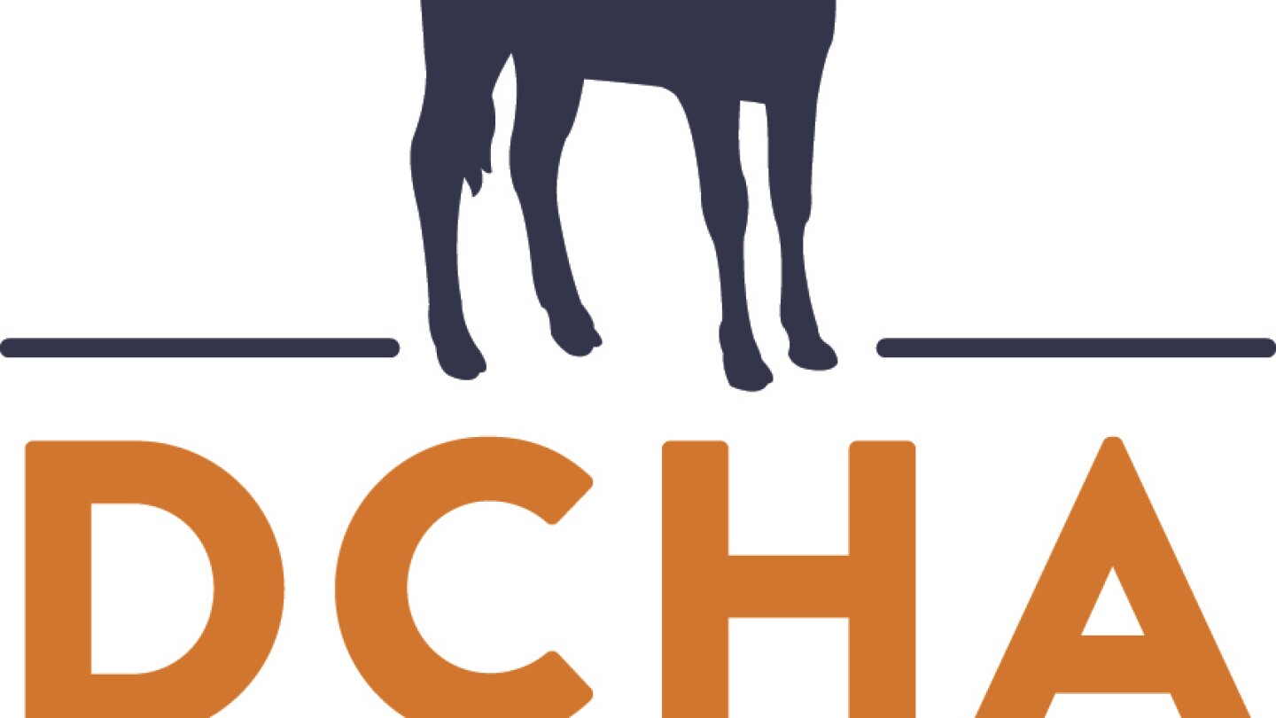 DCHA Offers $1,000 Scholarship - Bovine Vet