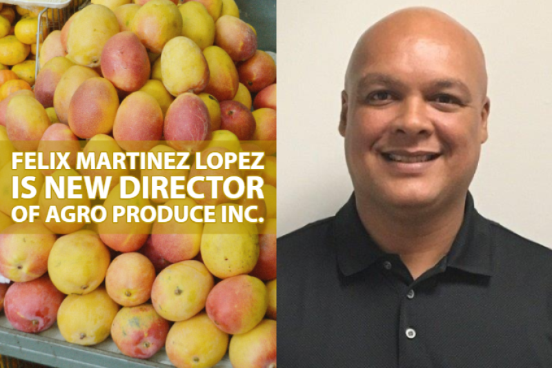Agro Produce Puerto Rico appoints new director - The Packer