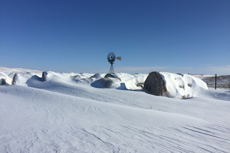 Minimizing Storage Losses of Round Bale Hay - Drovers