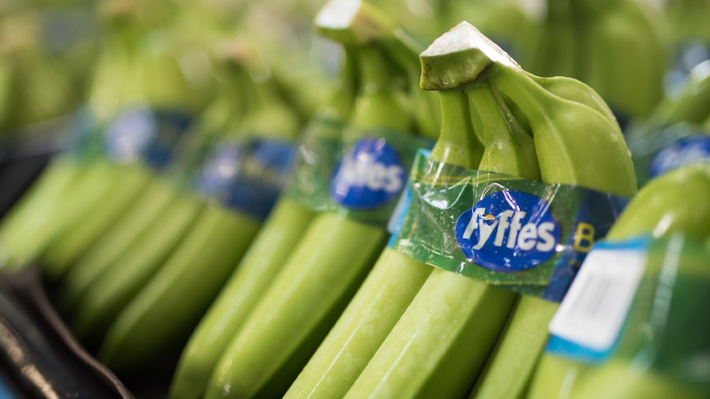 Fyffes raising the profile of its organic bananas - The Packer