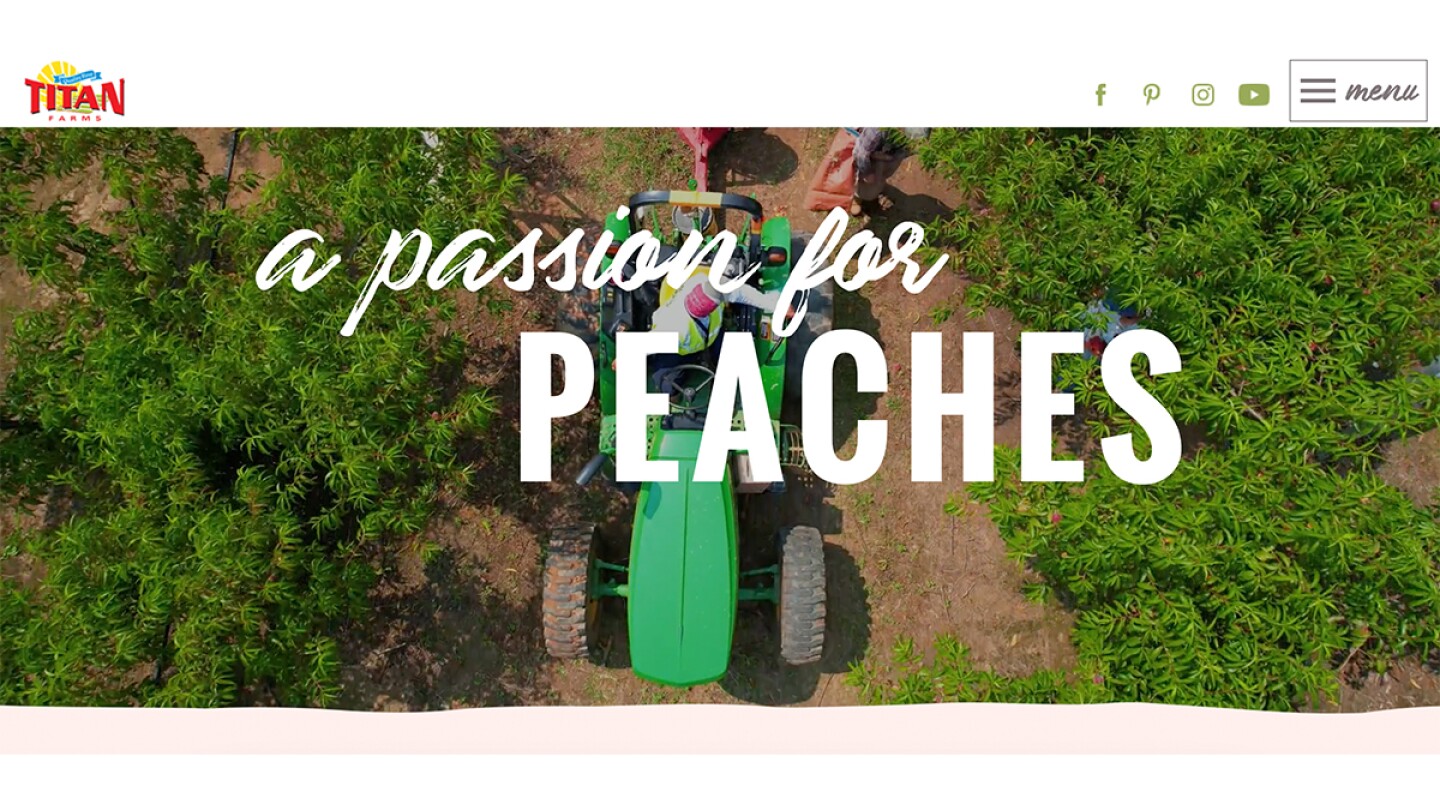 Titan Farms launches revamped website - The Packer - Fruit and Vegetable Industry’s Leading News ...