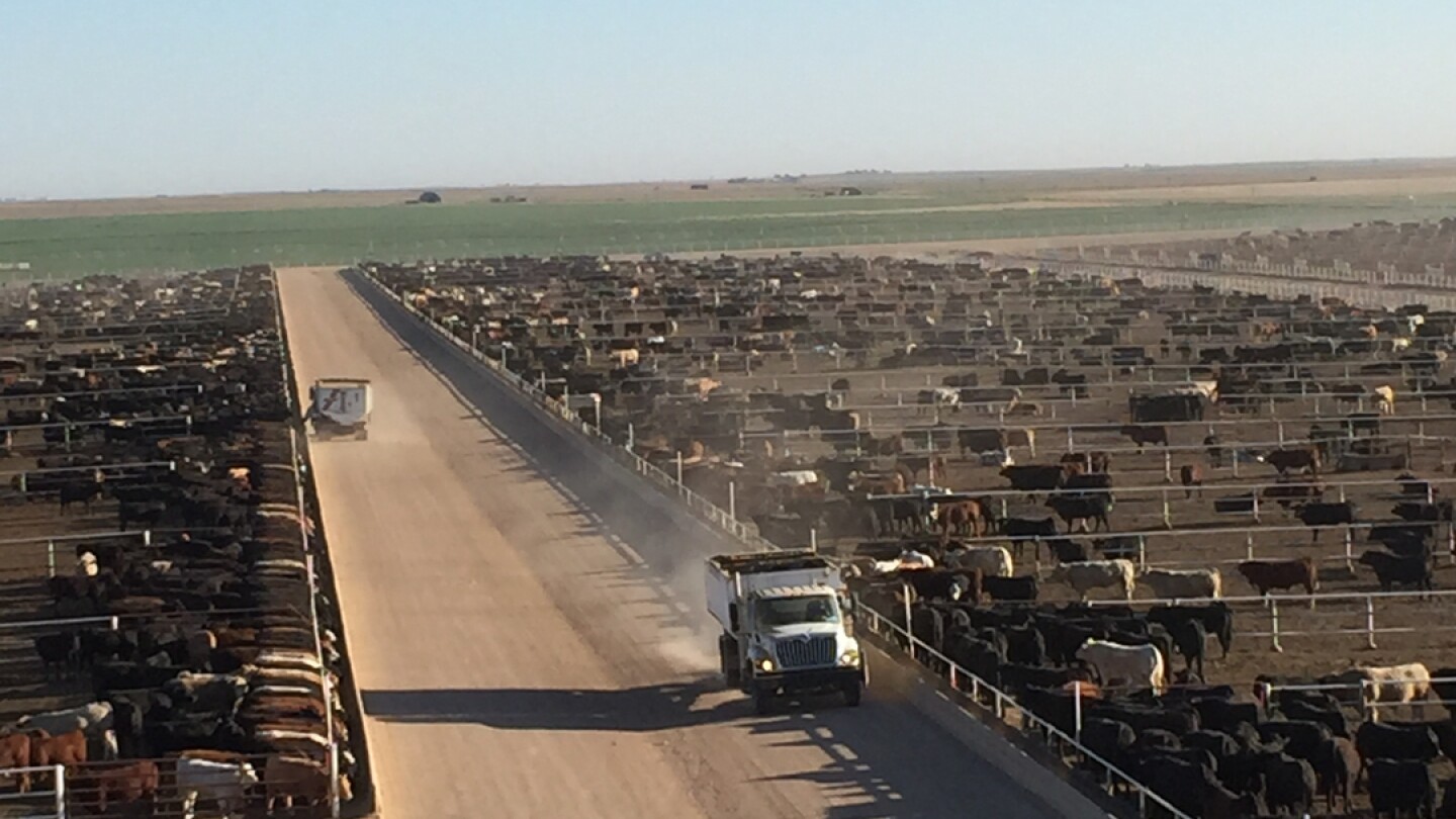 Educational Event Hosted By Balance4ward To Focus On Feedlot Management - Drovers