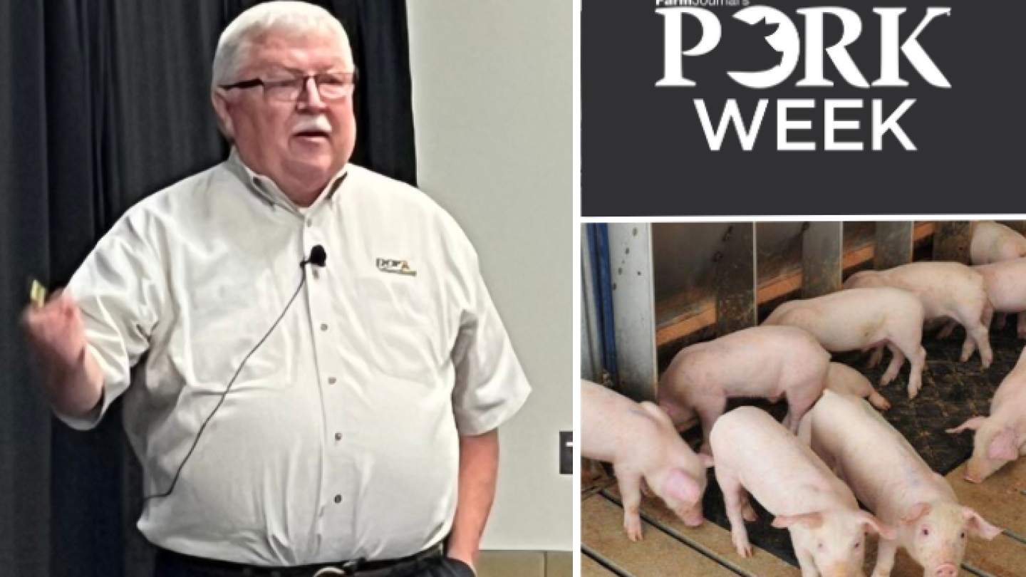 Discouraging Outlook Ahead but Bright Spots Exist – Part 1 - Pork Business