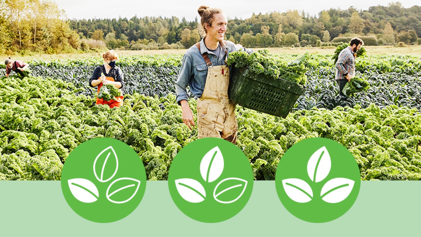 Giant Food walks the talk on diversity, equity and inclusion - The Packer