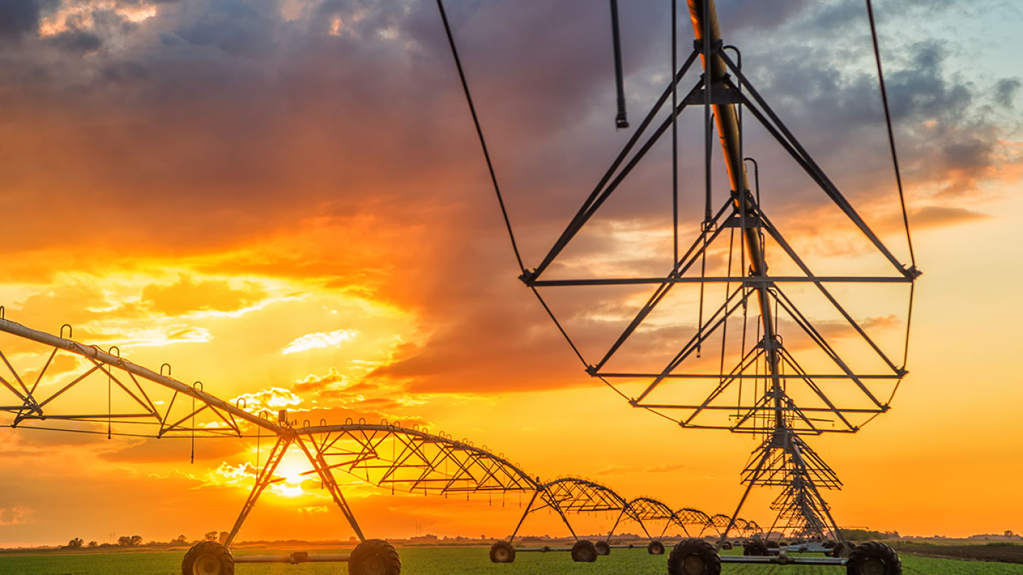 USDA reports decline in irrigated farmland - The Packer