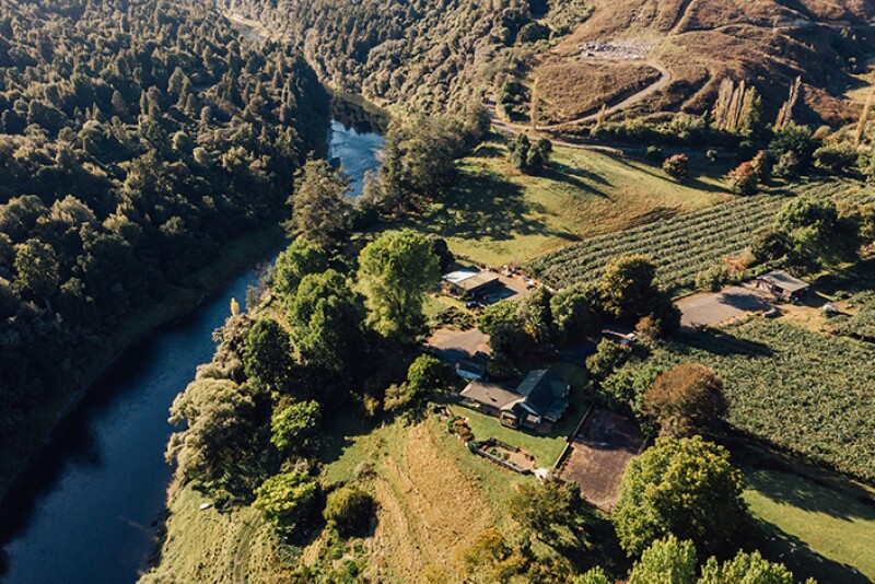 Zespri tackles how to future-proof kiwis for a changing climate - The ...