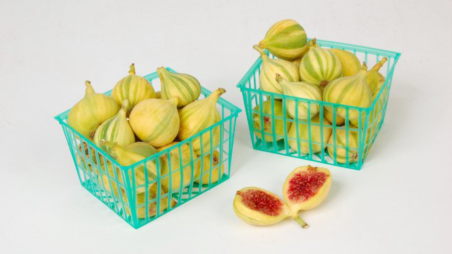 Stellar Distributing adds fig acreage - The Packer - Fruit and ...