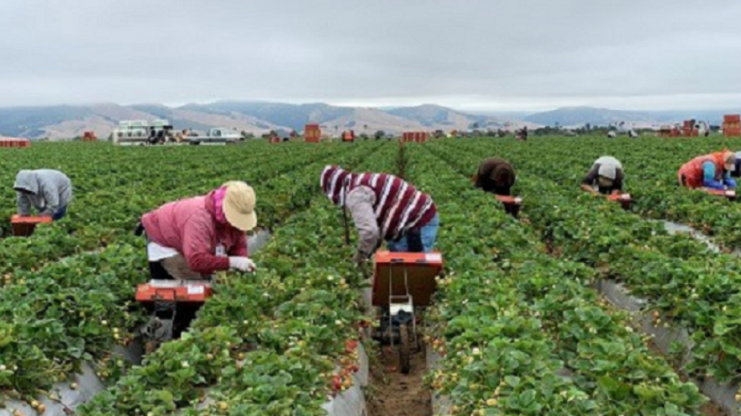 United Farm Workers backs Biden's bid for second term - The Packer
