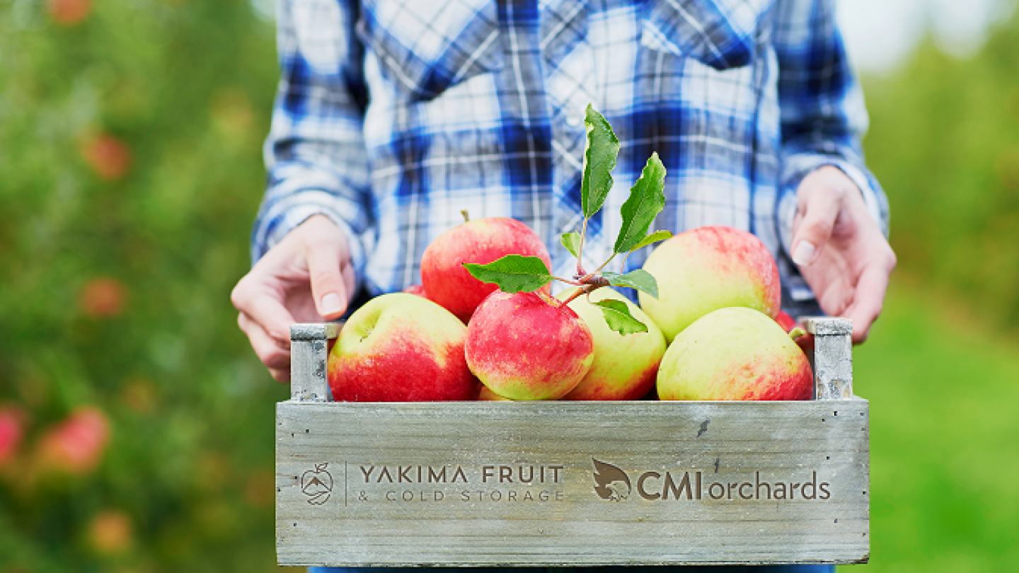 CMI adds apple capacity with Yakima Fruit agreement - The Packer
