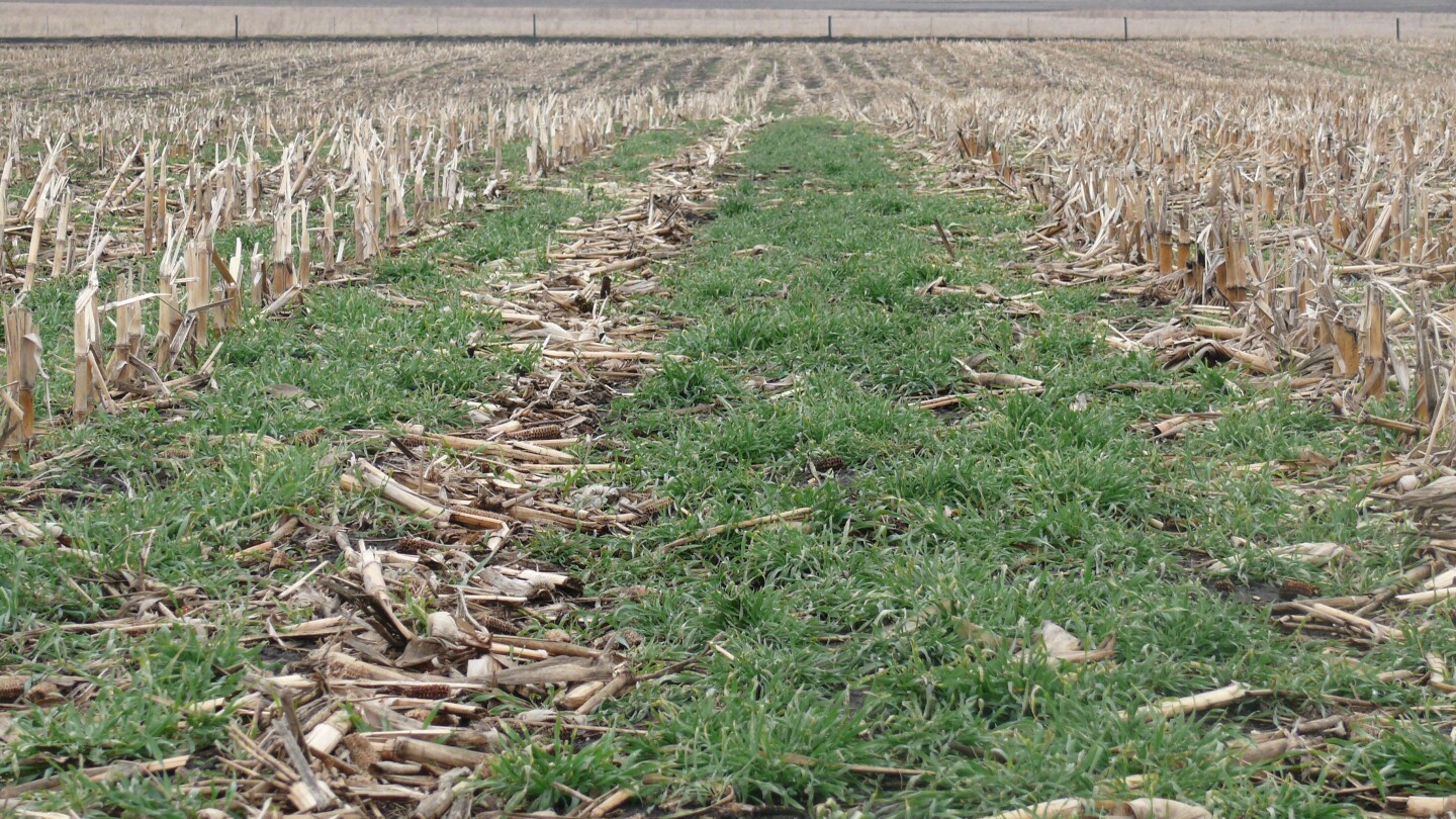 New Tool Helps Farmers, Ranchers Identify Conservation Incentive ...