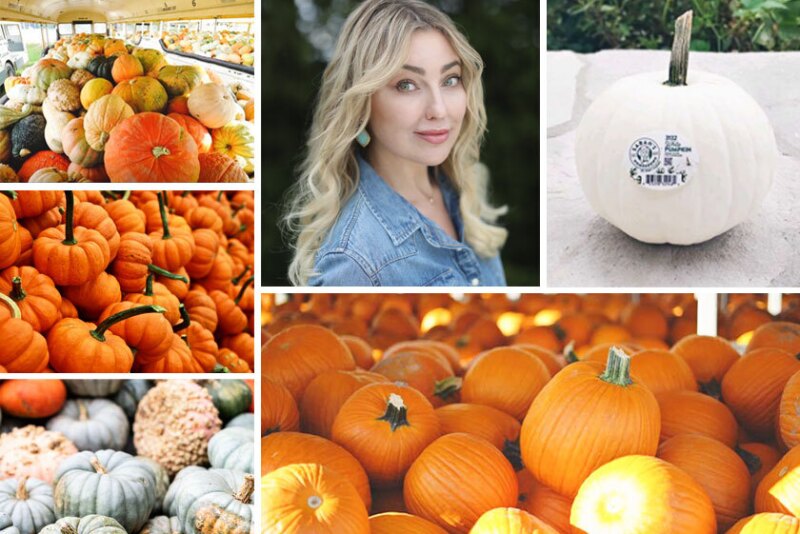 Behold the Bootstrapper: Sarah Frey’s Journey from 80 Acres to a Seven ...