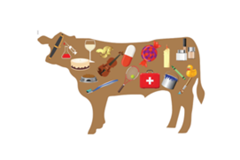 Understanding Beef By-Product Values - Drovers