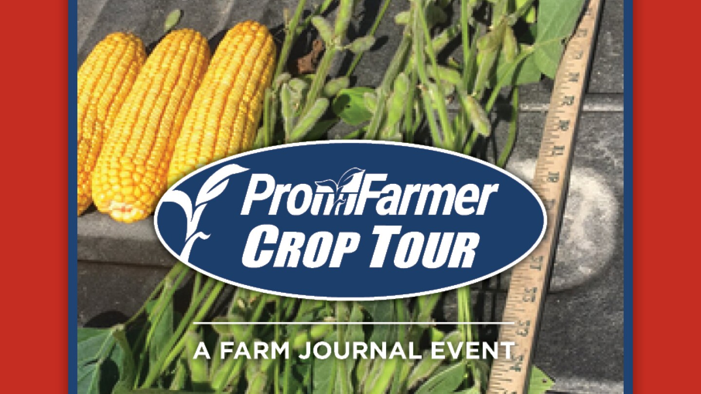Pro Farmer Crop Tour: Is the U.S Going to Produce Enough Corn and ...