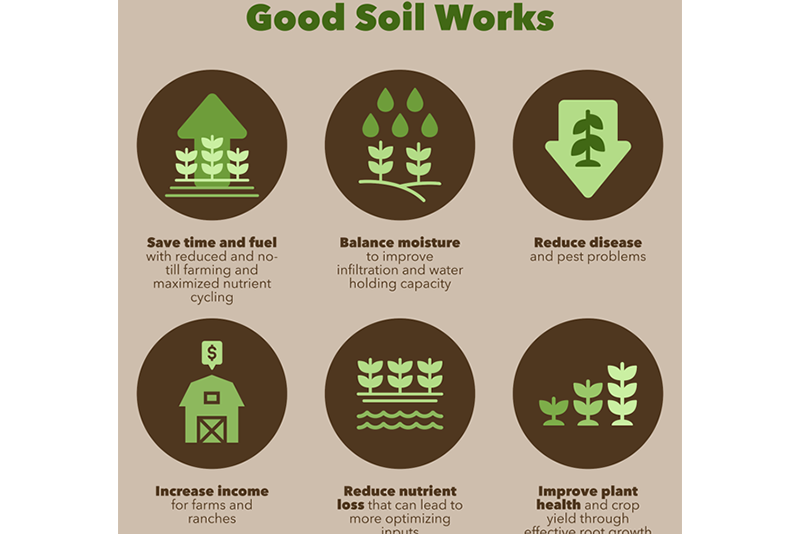 good soil structure