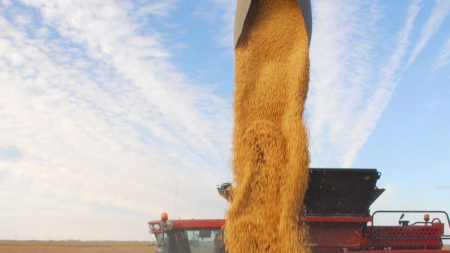 Chip Flory: The Domestication Of The U.S. Soybean Market - AgWeb