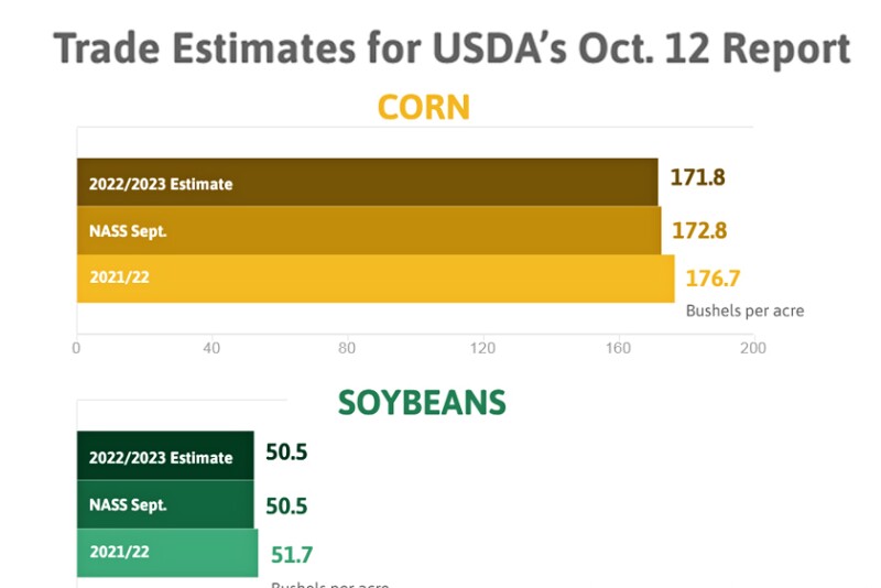 All Eyes on Yields for Oct. 12 USDA Reports - AgWeb