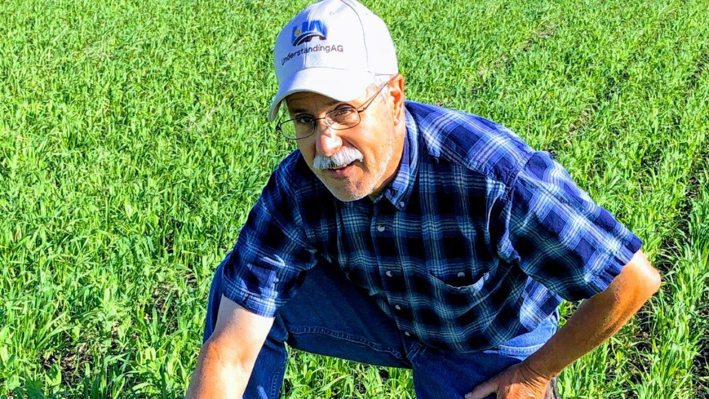 Intercropping Gains More Interest from US Farmers - AgWeb