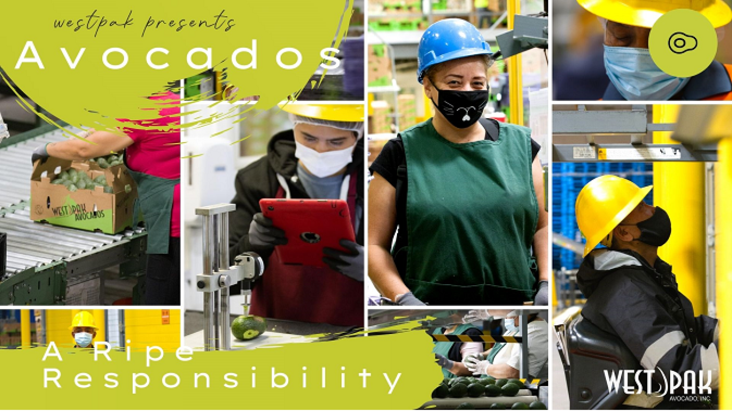 West Pak’s Avo Effect details safety procedures - The Packer