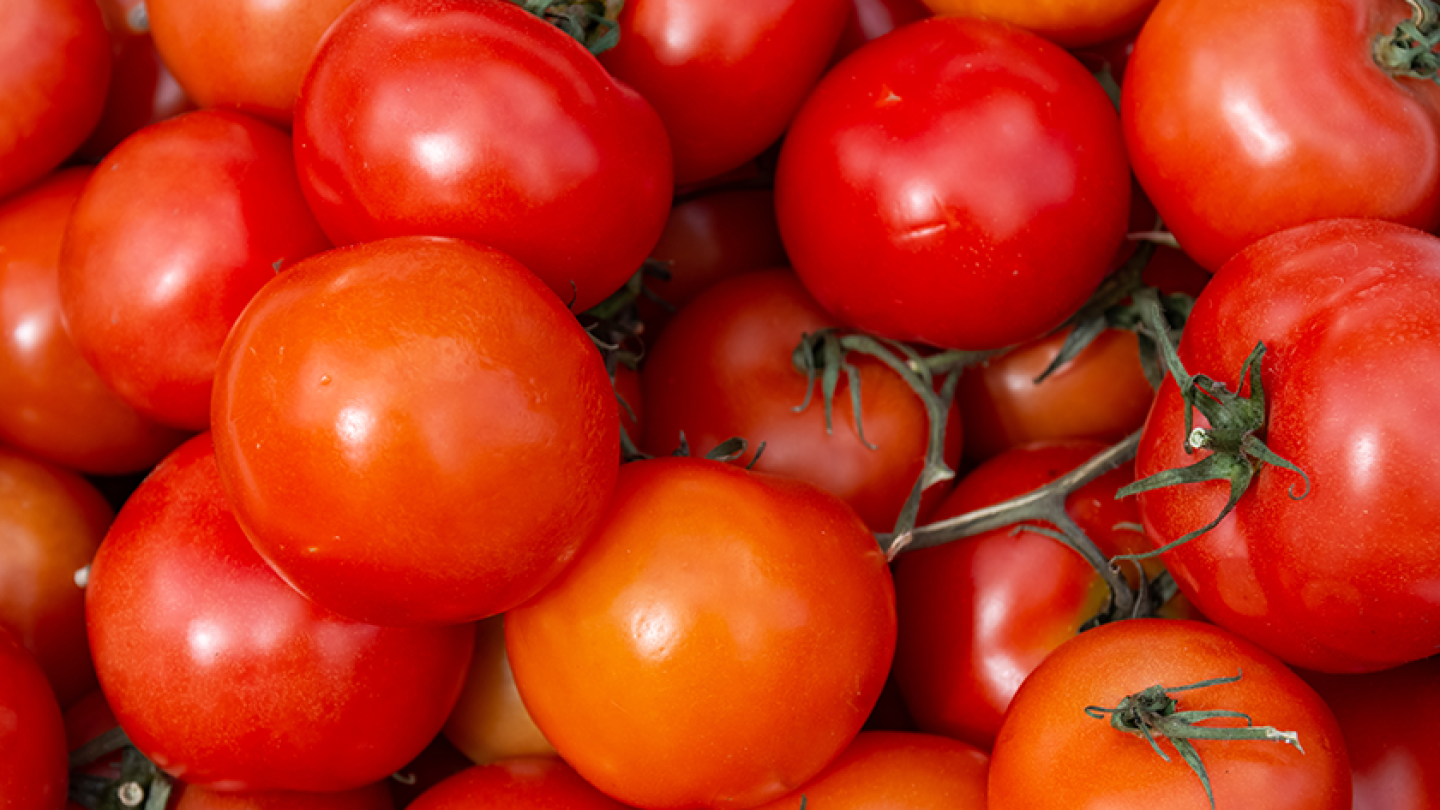 U.S. imports of Mexican tomatoes see growth in value - The Packer