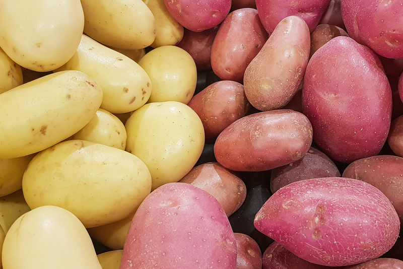 Potatoes USA debuts retail education series - The Packer