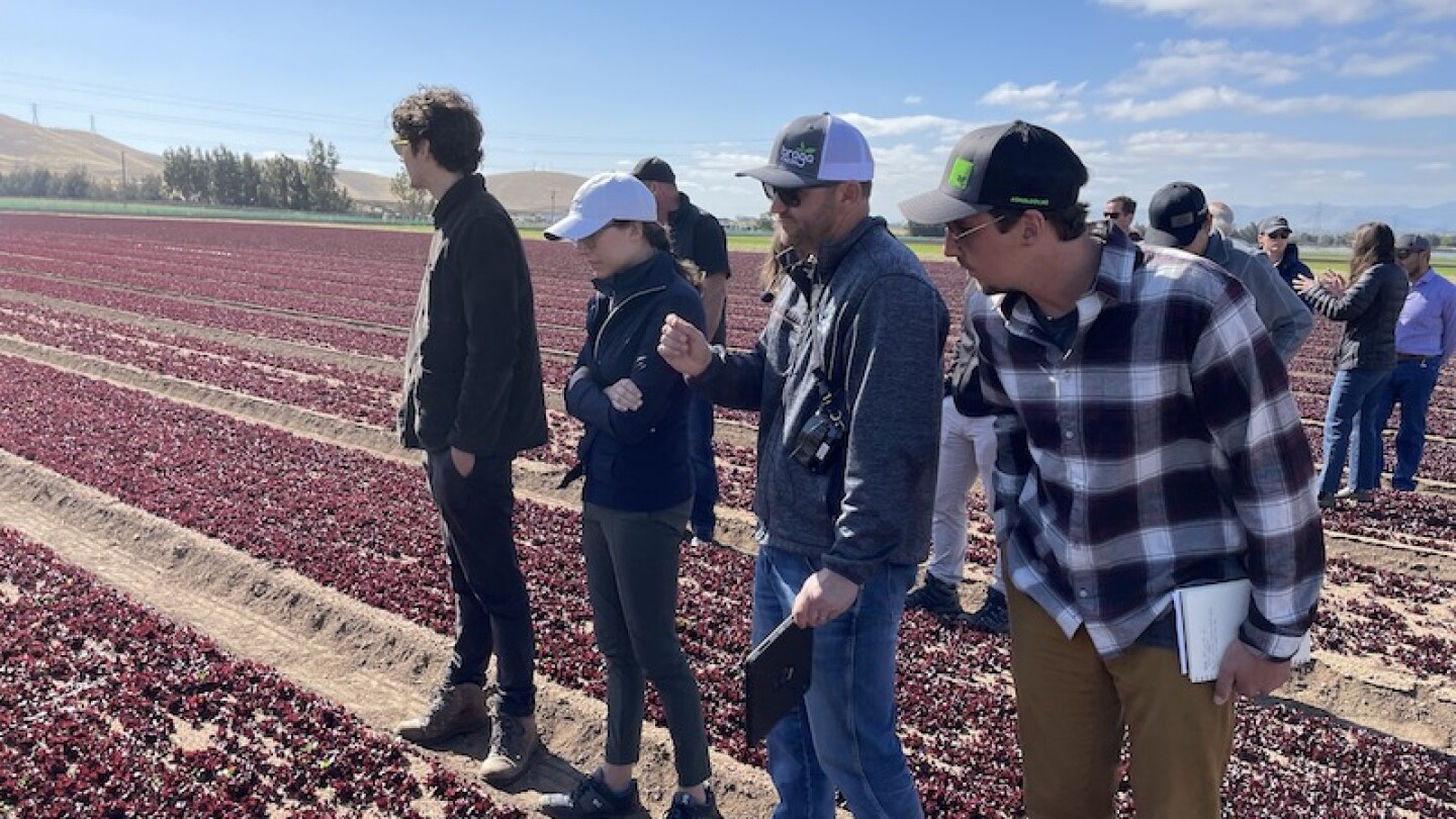 IFPA reveals next cohort of ag innovators for accelerator program - The ...