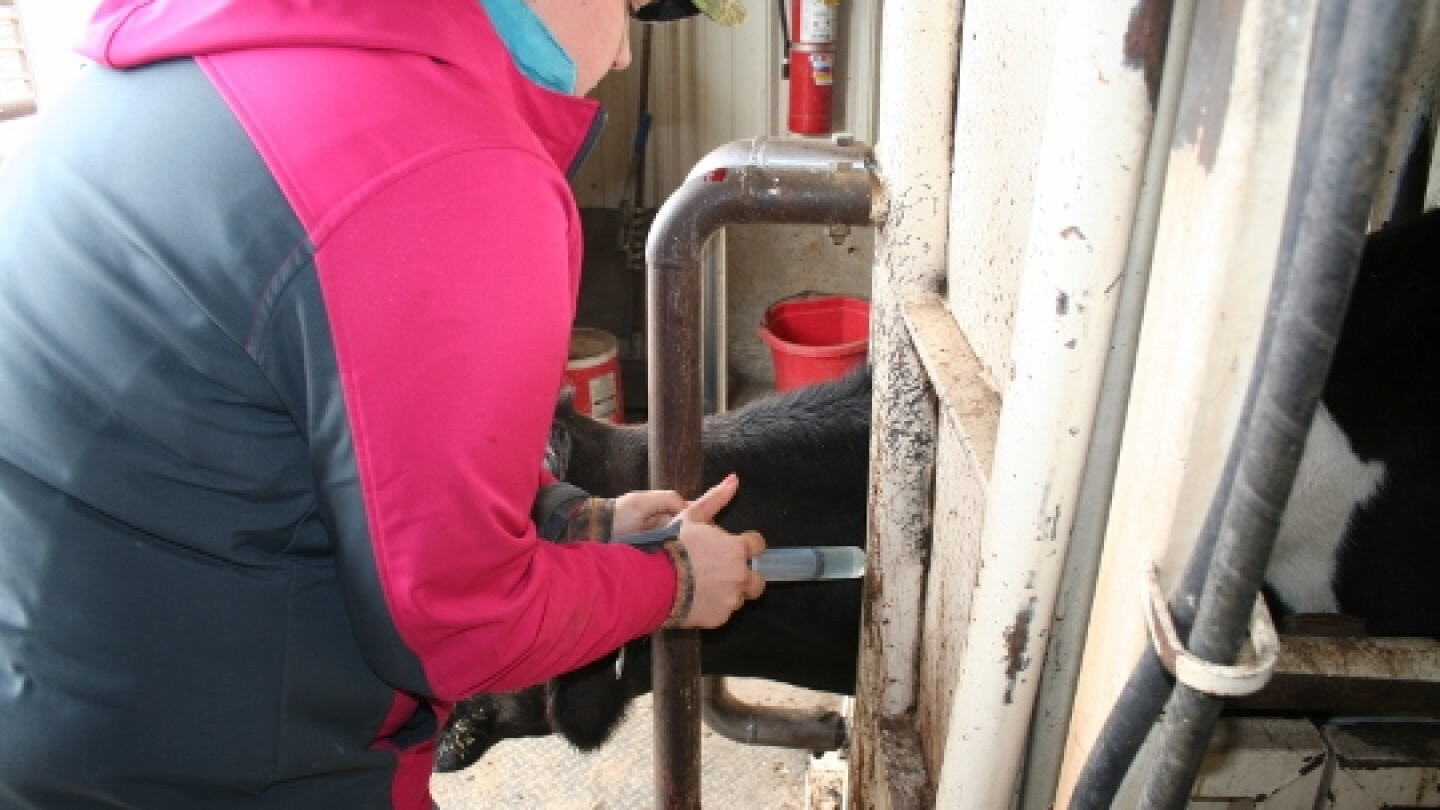 FDA Report Shows 16% Increase in Livestock Antimicrobial Sales in 2024 ...