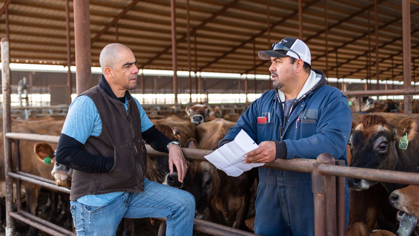 Transform Your Dairy Farm: Employees as Valuable Assets - Dairy Herd