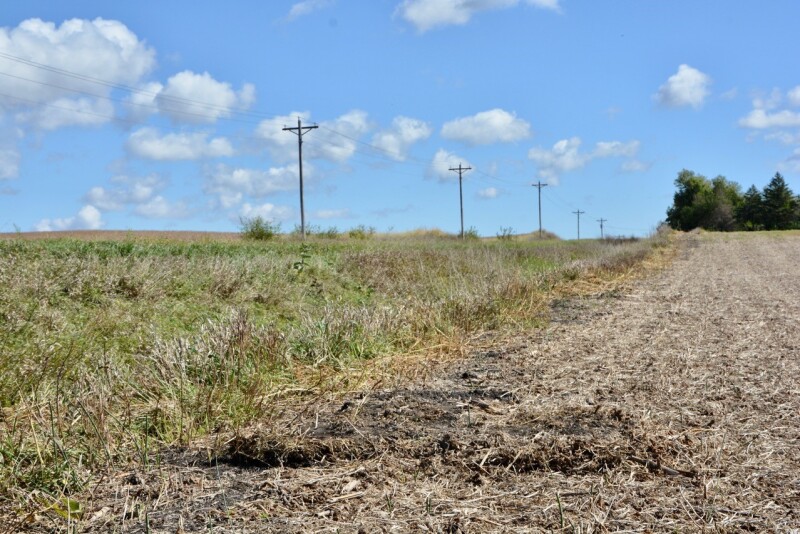 When Platforms Get Pushy - AgWeb