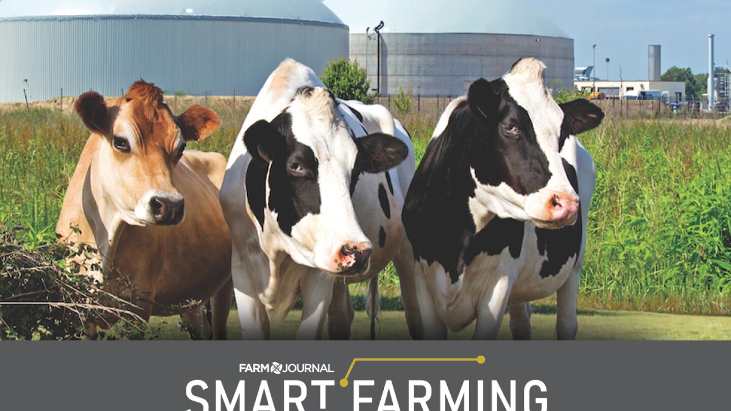 Digester Success: It’s All in the Details - Dairy Herd