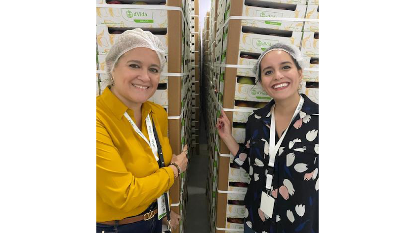 dVida expands tropical fruit availability - The Packer - Fruit and ...