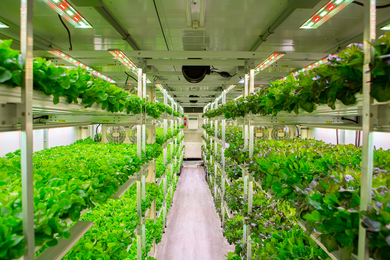 South Carolina foodservice distributor launches vertical farm - The Packer