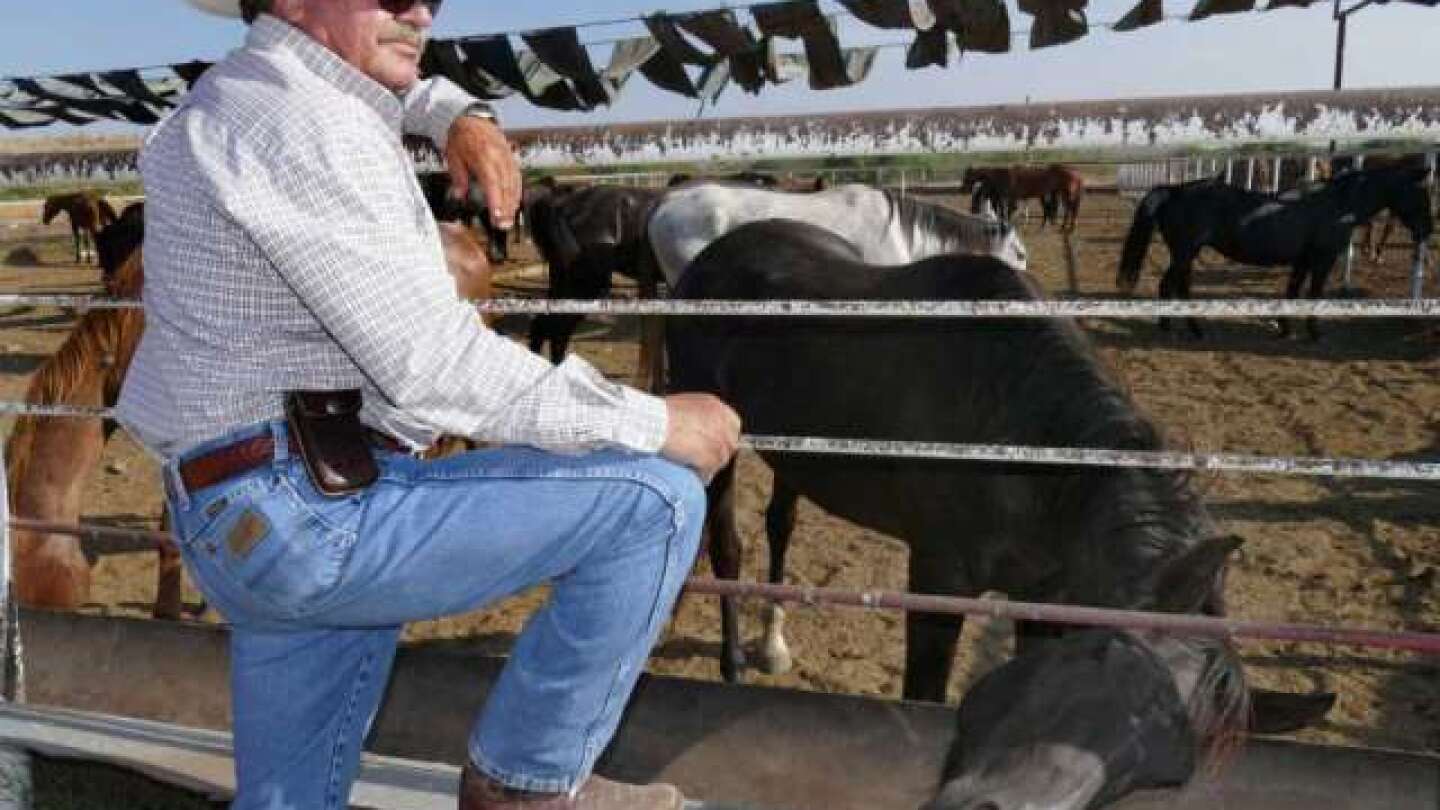 Horse Slaughter Controversy Still Rages