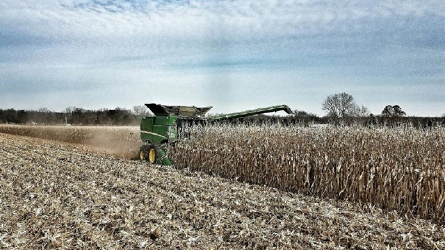 Farmers Top 500 Bu. Per Acre in NCGA Yield Contest - AgWeb