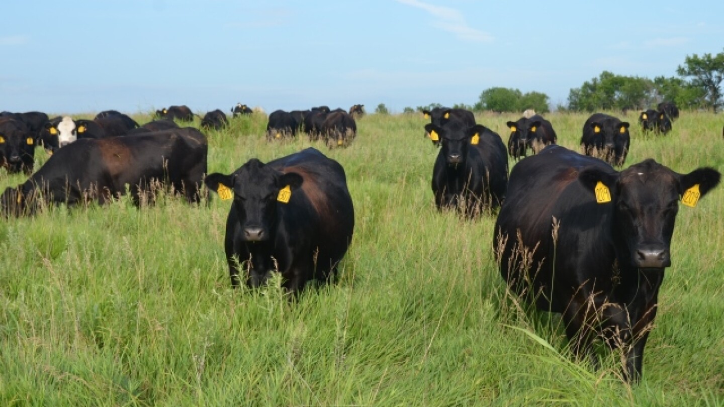 BeefTalk: Sustainable Soil and Integrated Beef Systems - The Packer