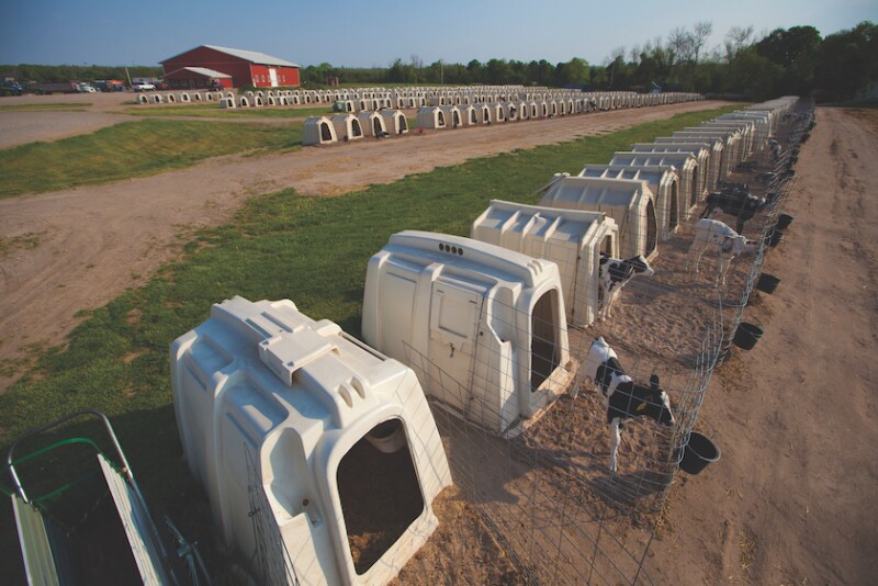 Remembering Sam Leadley - Dairy Herd