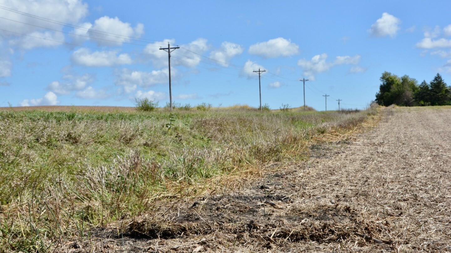 When Platforms Get Pushy - AgWeb