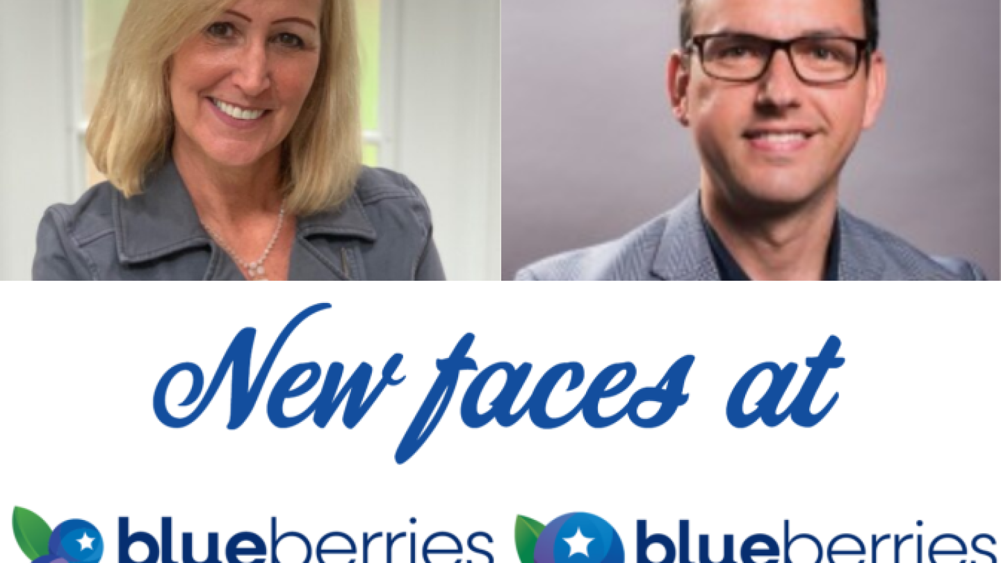 Blueberry groups hire in marketing-communications, financial roles ...