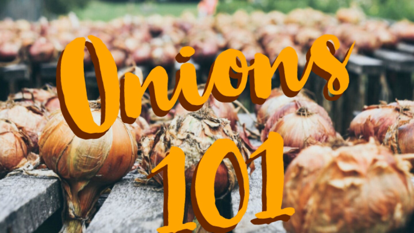 Onions 101 - The Packer - Fruit and Vegetable Industry’s Leading News ...