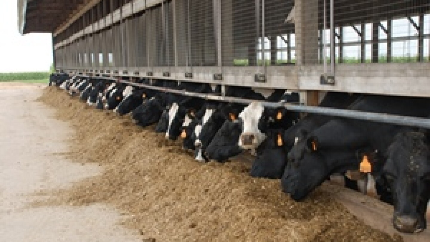 Potential Forage Challenge Ahead - Dairy Herd