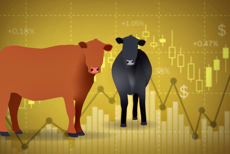 Nalivka – Is USDA Reshaping the U.S. Beef Industry?