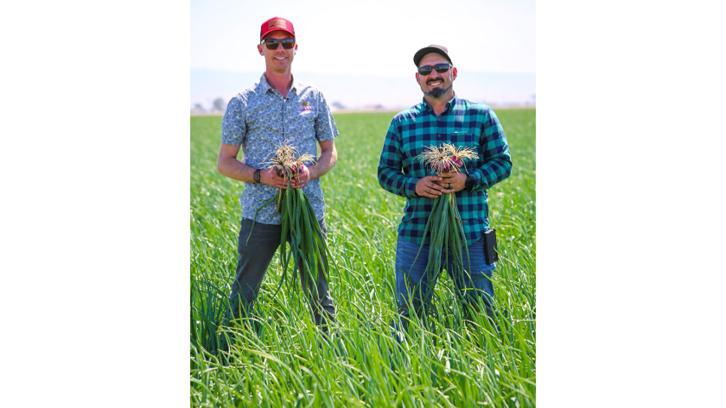 Owyhee Produce looks for stable summer onions supply, grows its sweet ...