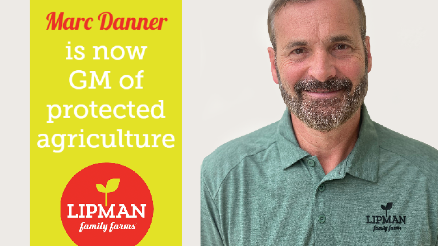 Lipman promotes Marc Danner to GM of protected ag - The Packer - Fruit ...