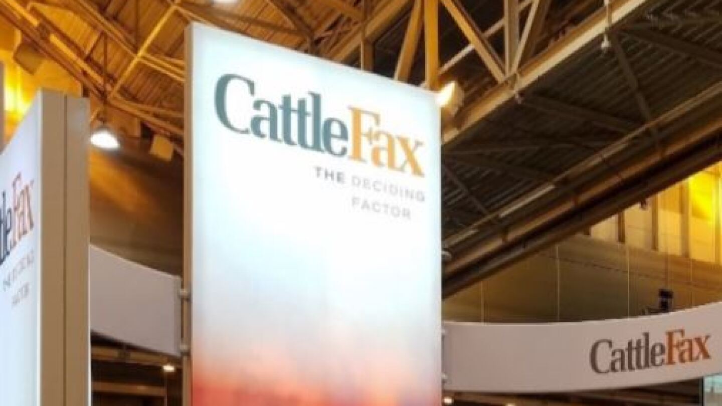 CattleFax Forecasts Producer Profitability in 2023 with Potential ...