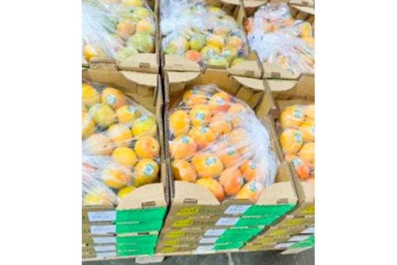 Colombian sugar mangoes are now available in the U.S. - The Packer